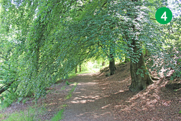 13: Errwood circular - Goyt Valley