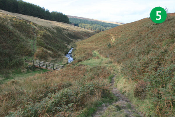 11: Derbyshire Bridge - Goyt Valley