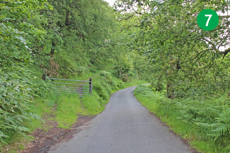 1: Riverside walk - Goyt Valley