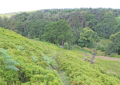 Choose a walk - Goyt Valley