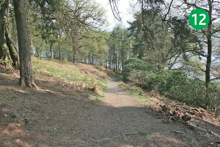 4: Hall & shrine - Goyt Valley