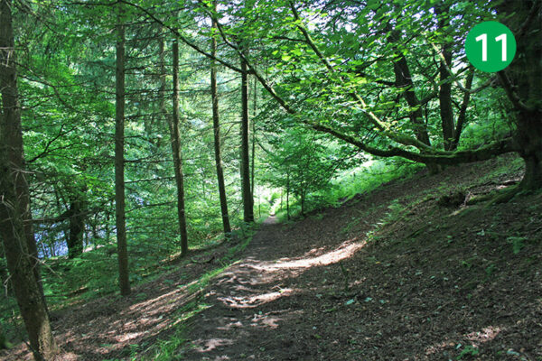 18: Fernilee west bank - Goyt Valley