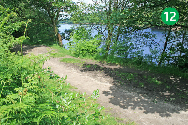18: Fernilee west bank - Goyt Valley