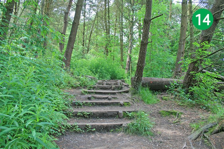 18: Fernilee west bank - Goyt Valley