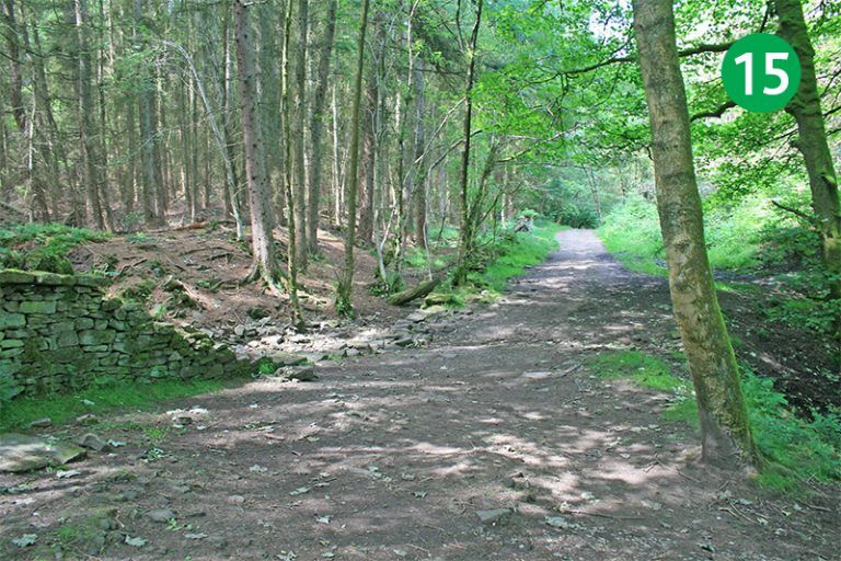 18: Fernilee west bank - Goyt Valley