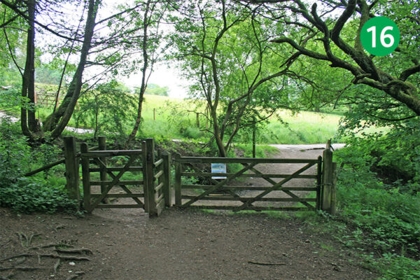 18: Fernilee west bank - Goyt Valley