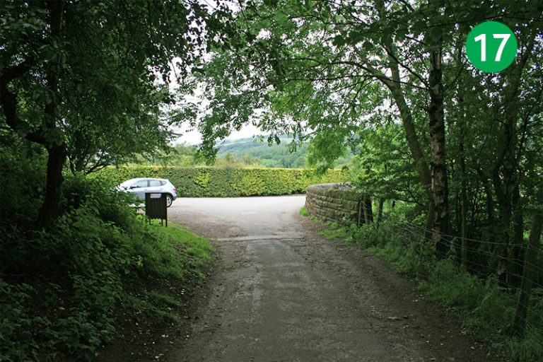 18: Fernilee west bank - Goyt Valley