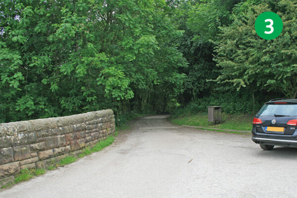 18: Fernilee west bank - Goyt Valley