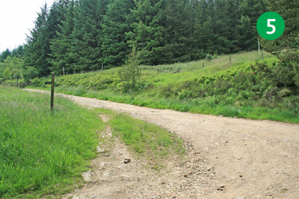 18: Fernilee west bank - Goyt Valley