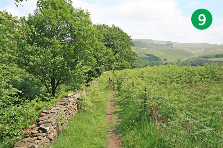 18: Fernilee west bank - Goyt Valley